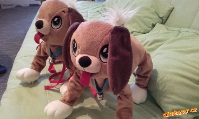 Prodám - pes FLOPPY již jen jeden, Plzeň | Mimibazar.cz