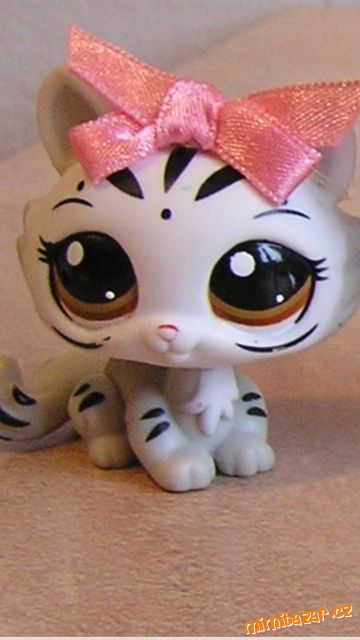 Prodám - lps littlest petshop kocka sphynx, Ostrava | Mimibazar.cz