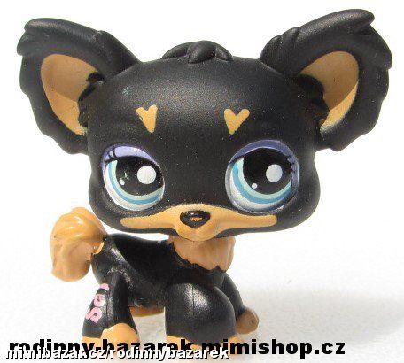 Prodám - LITTLEST PET SHOP pes pejsek ČIVAVA LPS 1571, Liberec ...