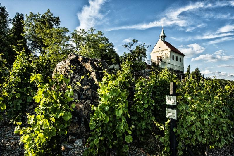 Tip na víkend Vypravte se na putování pražskými vinicemi a poznejte ...